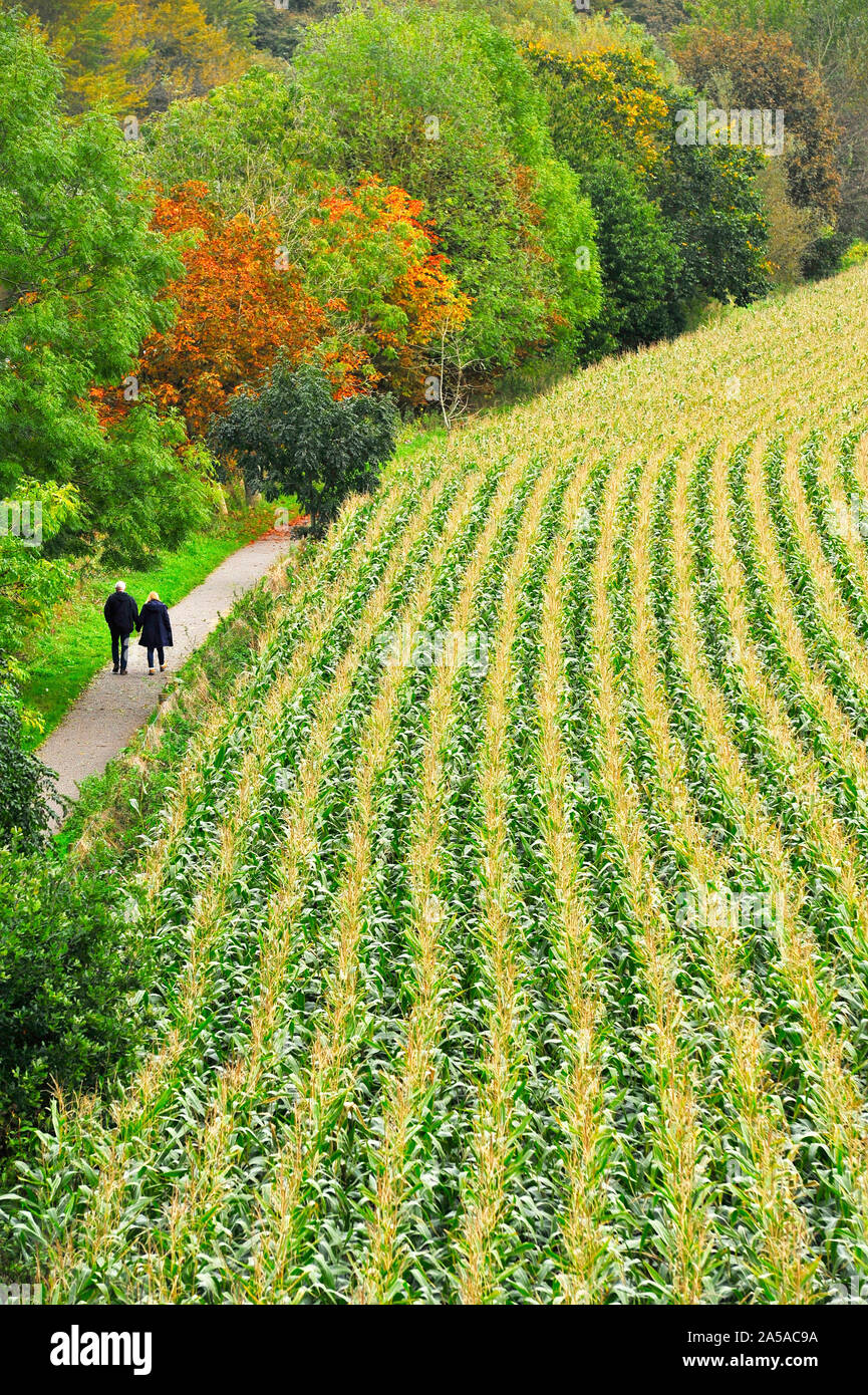 Flat rural hi-res stock photography and images - Alamy