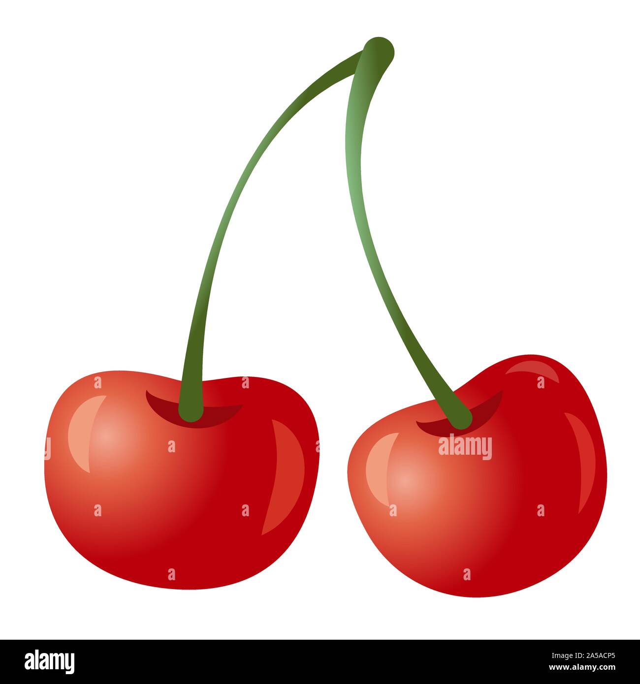 illustration of the two cherries on the white background Stock Vector ...