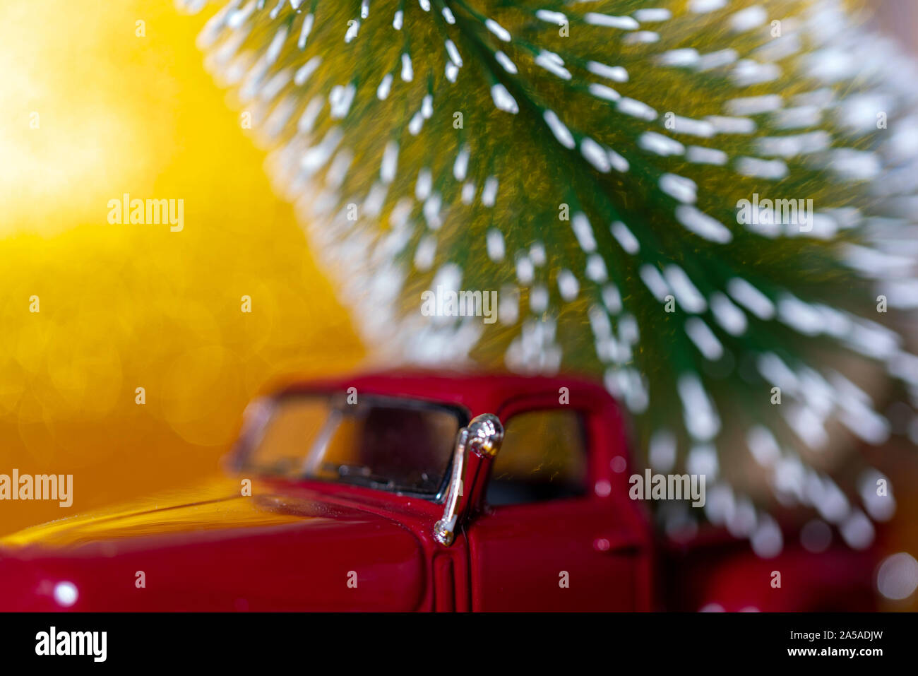 Pious tree hi-res stock photography and images - Alamy
