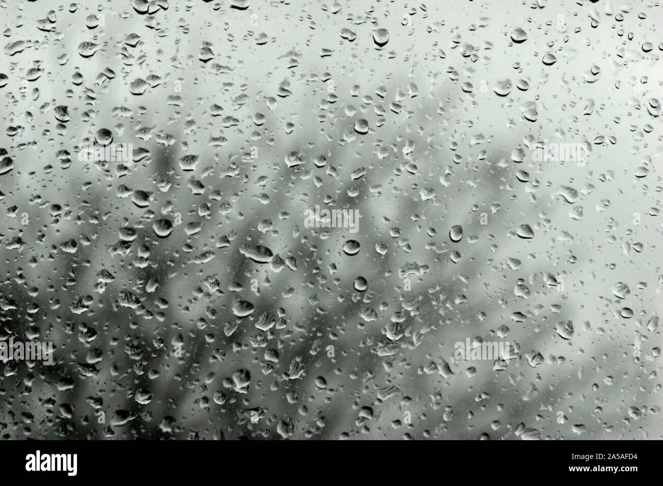 Greyscale shot of raindrops on glass Stock Photo - Alamy