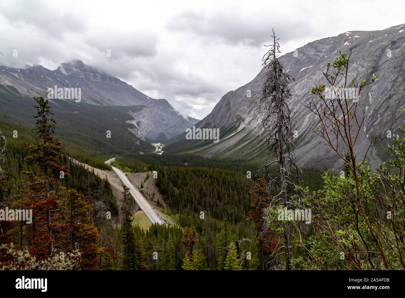 Icefield parkway viewpoint hi-res stock photography and images - Alamy