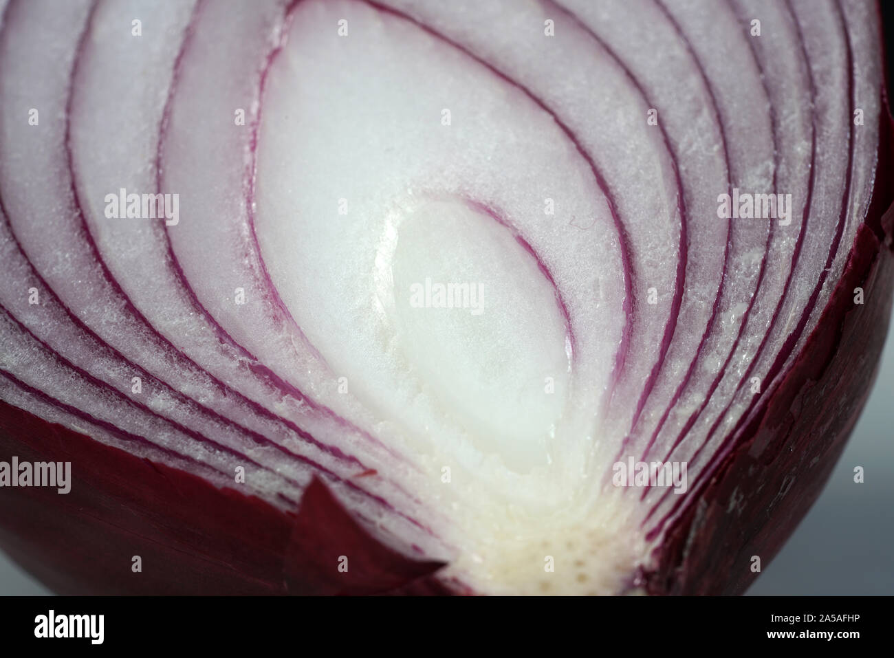 Onion with macro lens photographed in best quality Stock Photo - Alamy