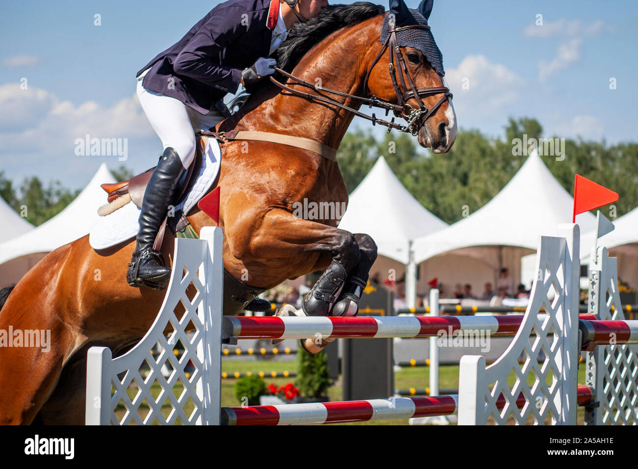 Horse Jumping, Equestrian Sports, Show Jumping Competition themed photo ...