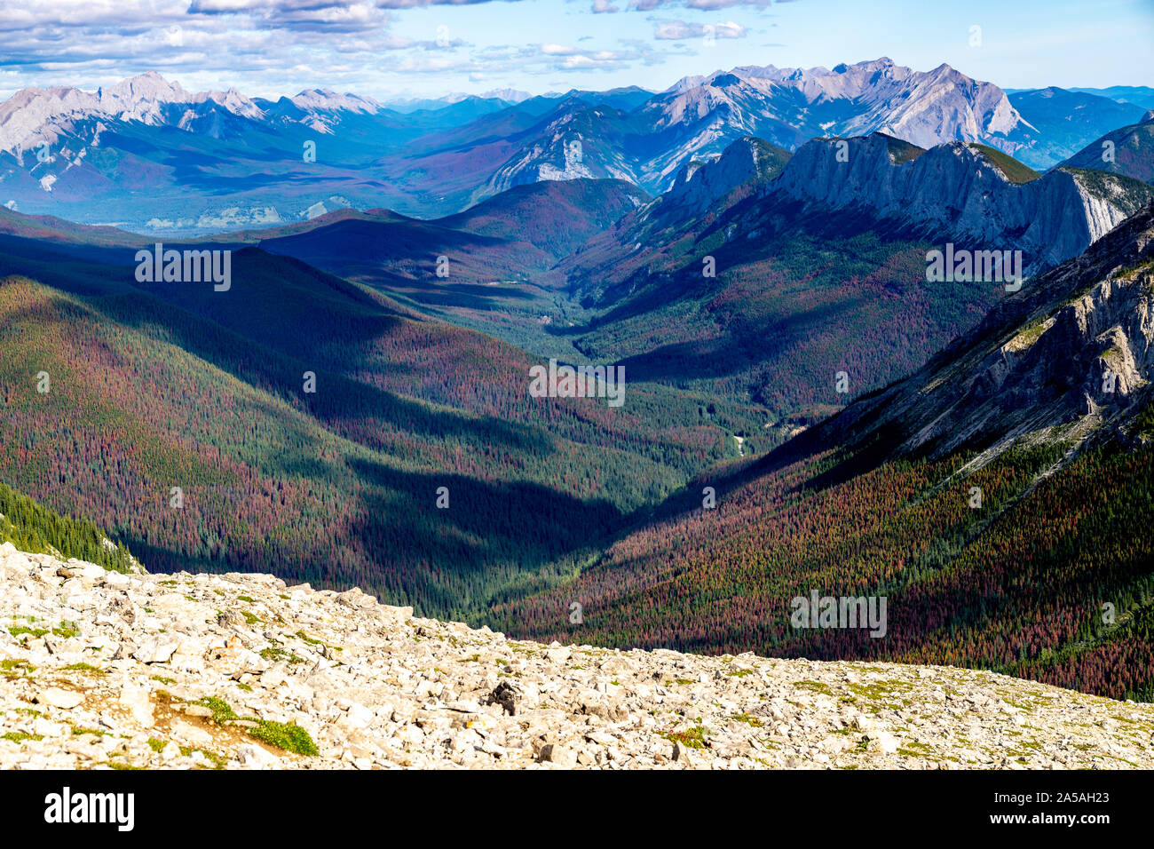 Jasper national park during summer Stock Photo - Alamy