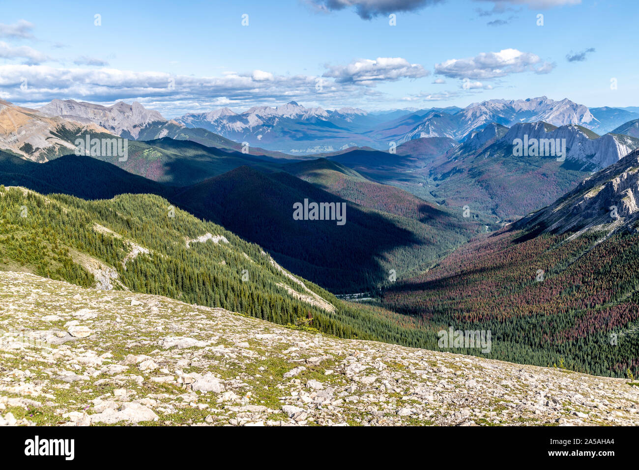 Jasper national park during summer Stock Photo - Alamy