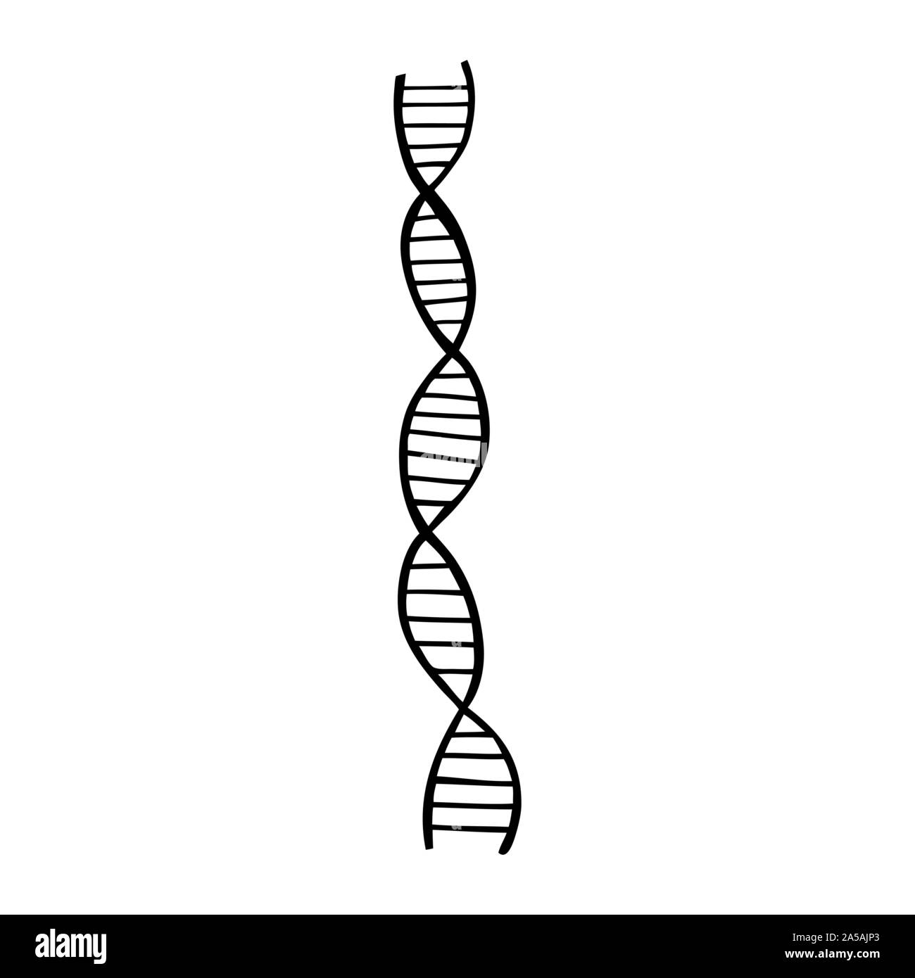 Black and white vector illustration of dna Stock Vector Image & Art - Alamy