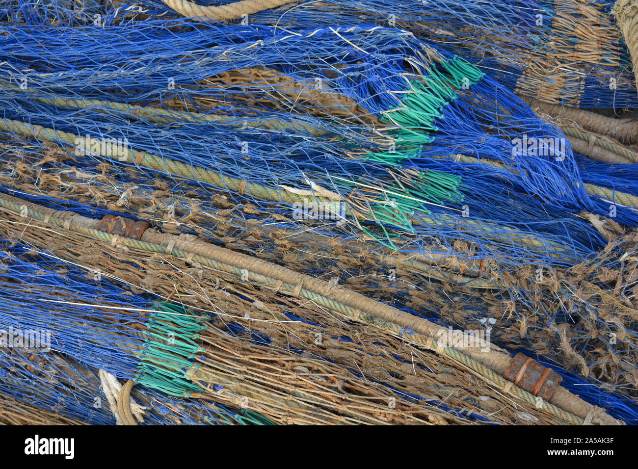 Fishing nets full of fish hi-res stock photography and images - Alamy