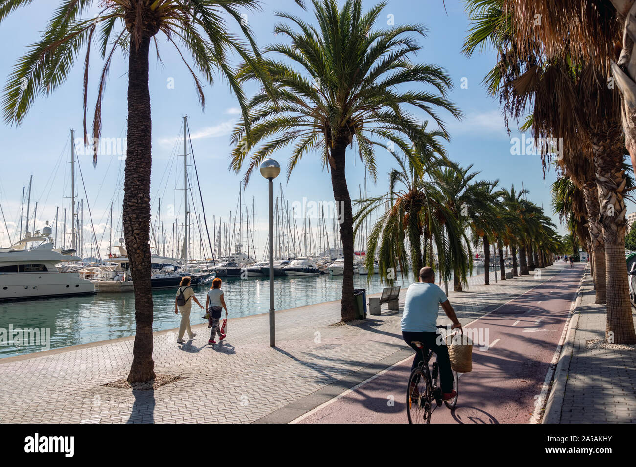 Paseo maritimo - Palma de Mallorca, Balearic Islands, Spain Stock Photo ...