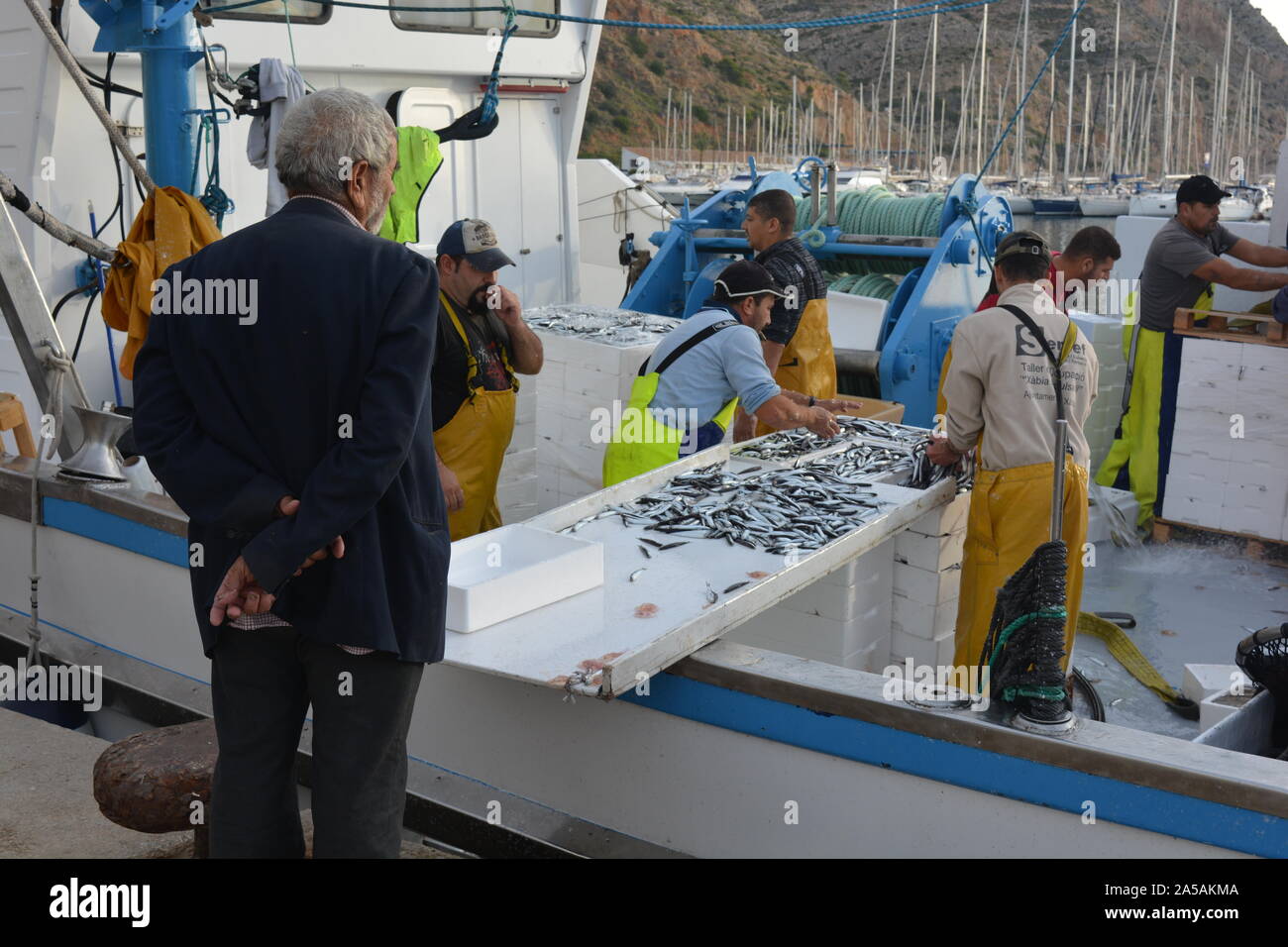 Senior man watching fishermen sorting catch of fresh fish onboard ...