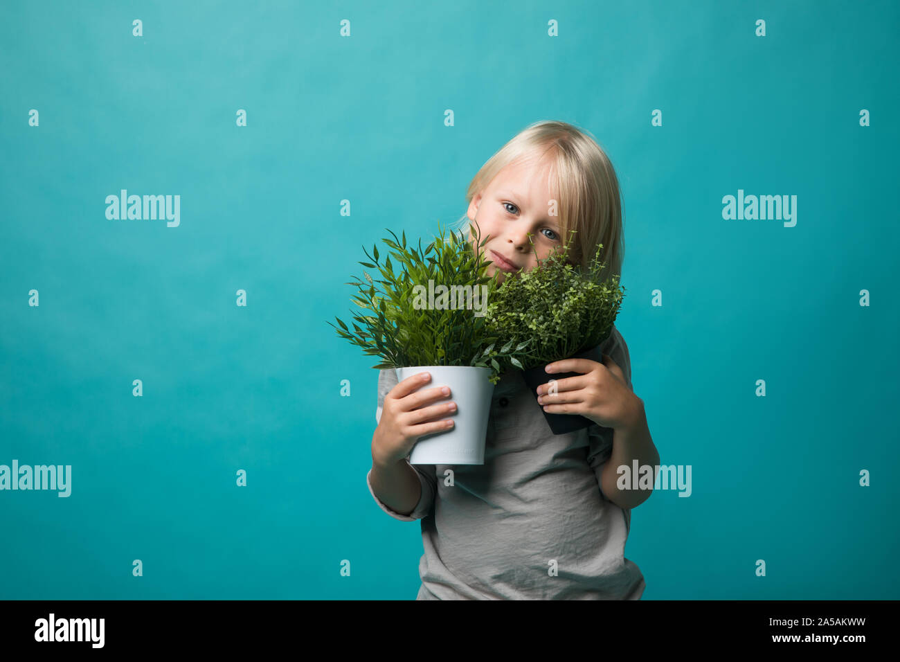 A little boy holding pots with a green plant. Children and nature ...