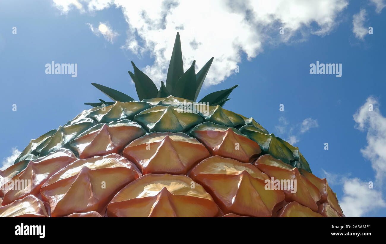 Australia the big pineapple hi-res stock photography and images - Alamy