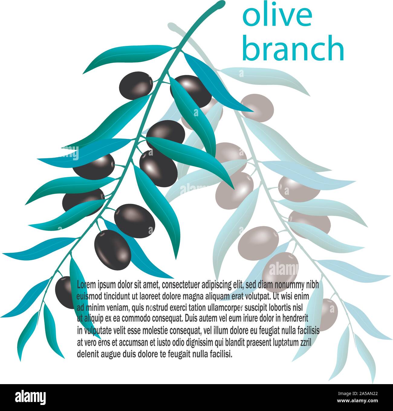 Olive branch poster vector illustration. elegant flyer Stock Vector ...