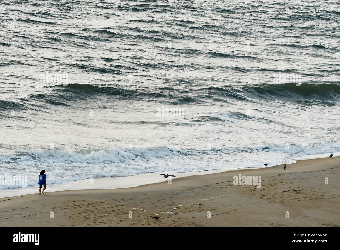 Female early morning walk on beach Stock Photo - Alamy