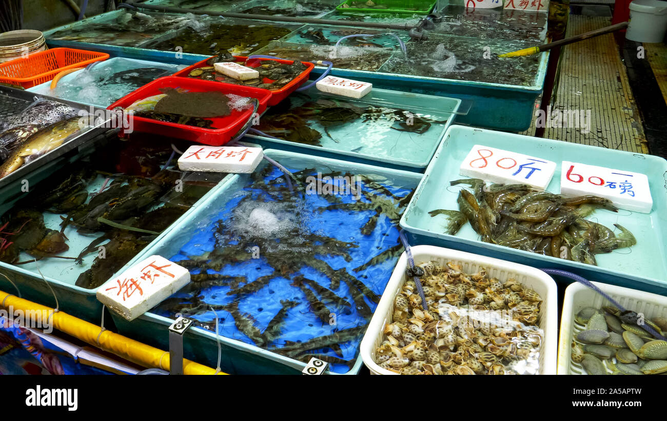 live prawns in a tank at chun yeung wet market Stock Photo - Alamy