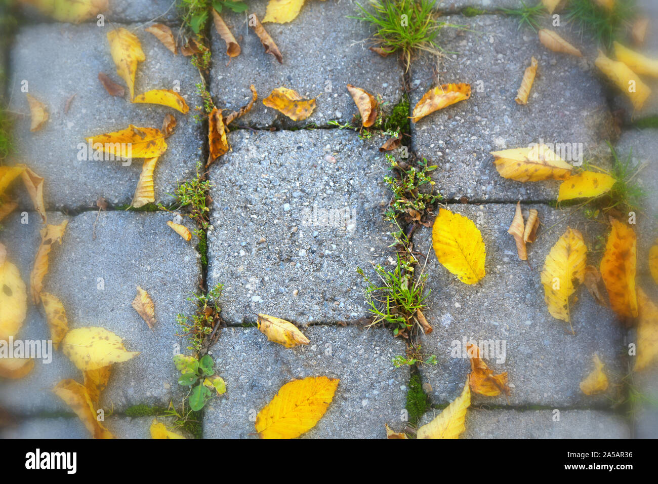 Fallen slabs hi-res stock photography and images - Alamy