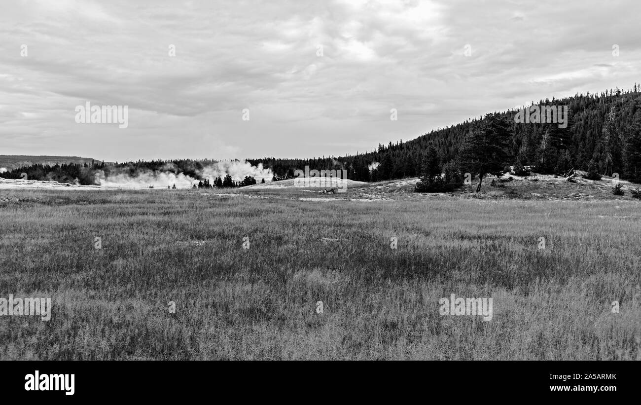 Black and white, grassy fields with forest covered mountains and ...
