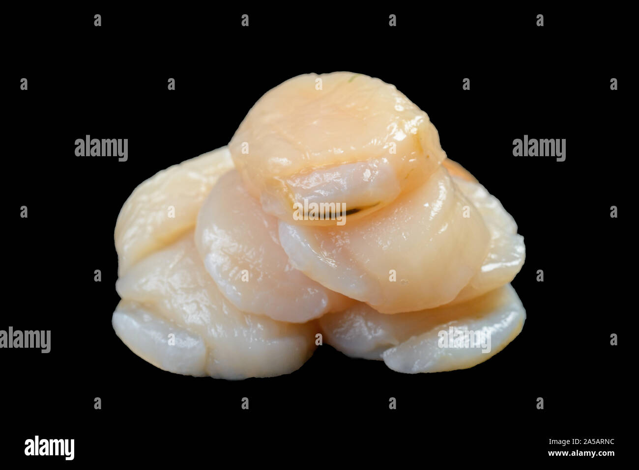 Raw clam meat isolated on a black background Stock Photo - Alamy