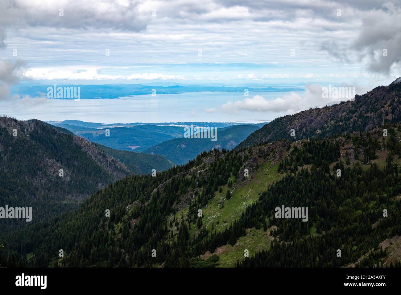 Deer mount rainier national park hi-res stock photography and images ...