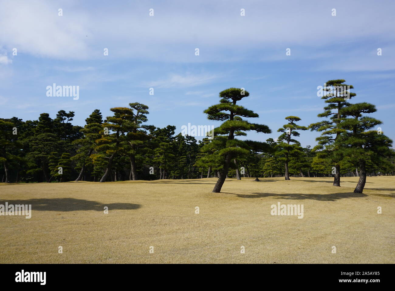 park in tokyo japan Stock Photo - Alamy
