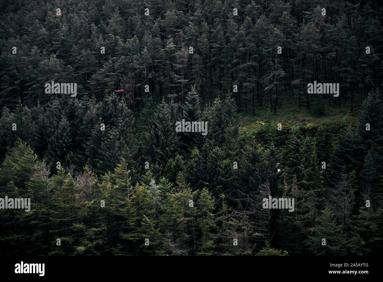 Brecon beacons background hi-res stock photography and images - Alamy