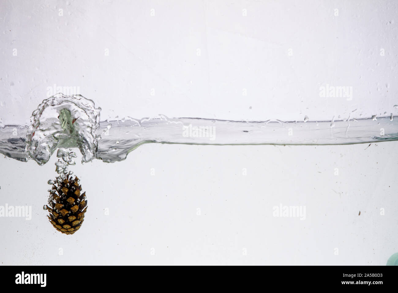 Water Splash Photography: a conifer cone falling in water creating a ...