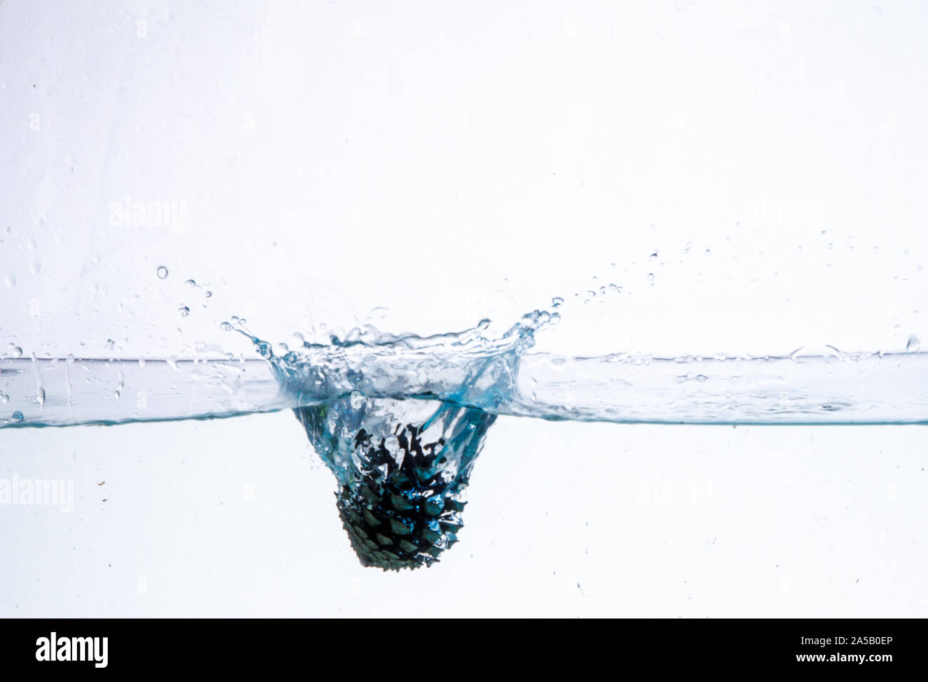 Water Splash Photography: a conifer cone falling in water creating a ...