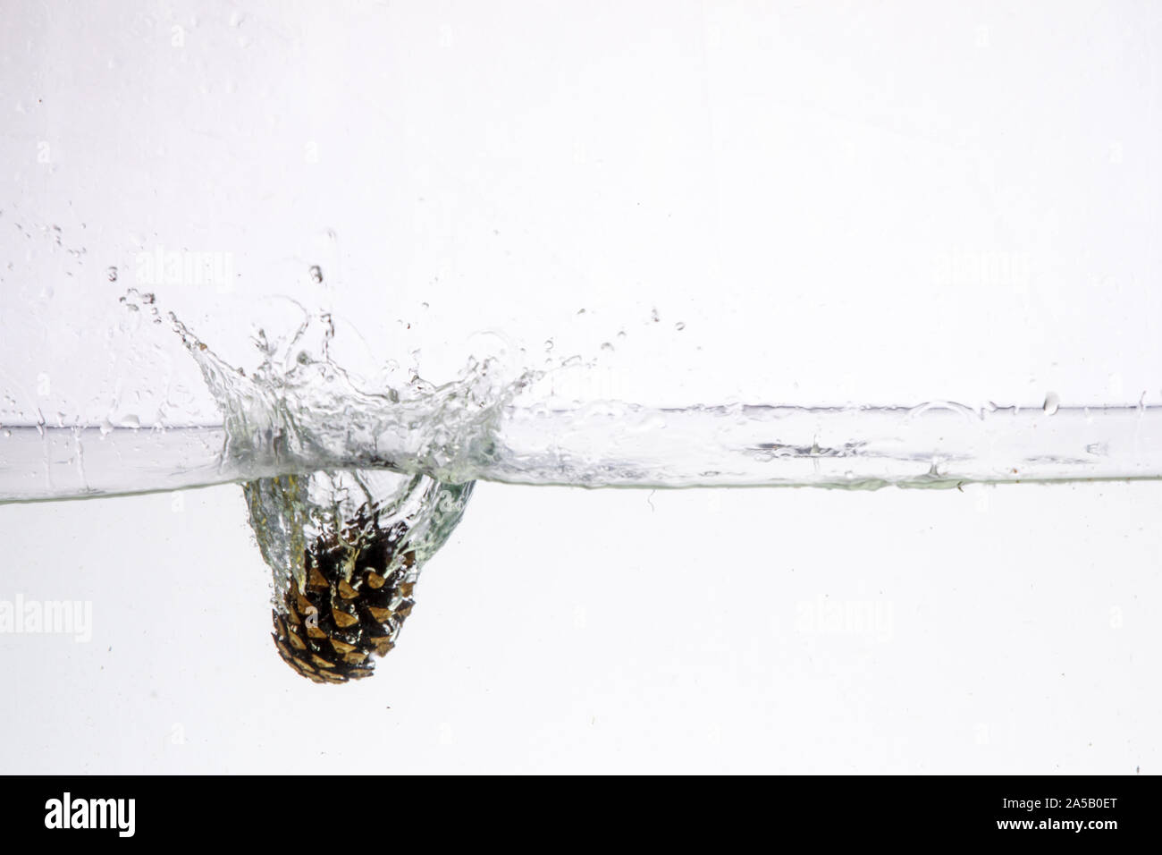 Water Splash Photography: a conifer cone falling in water creating a ...