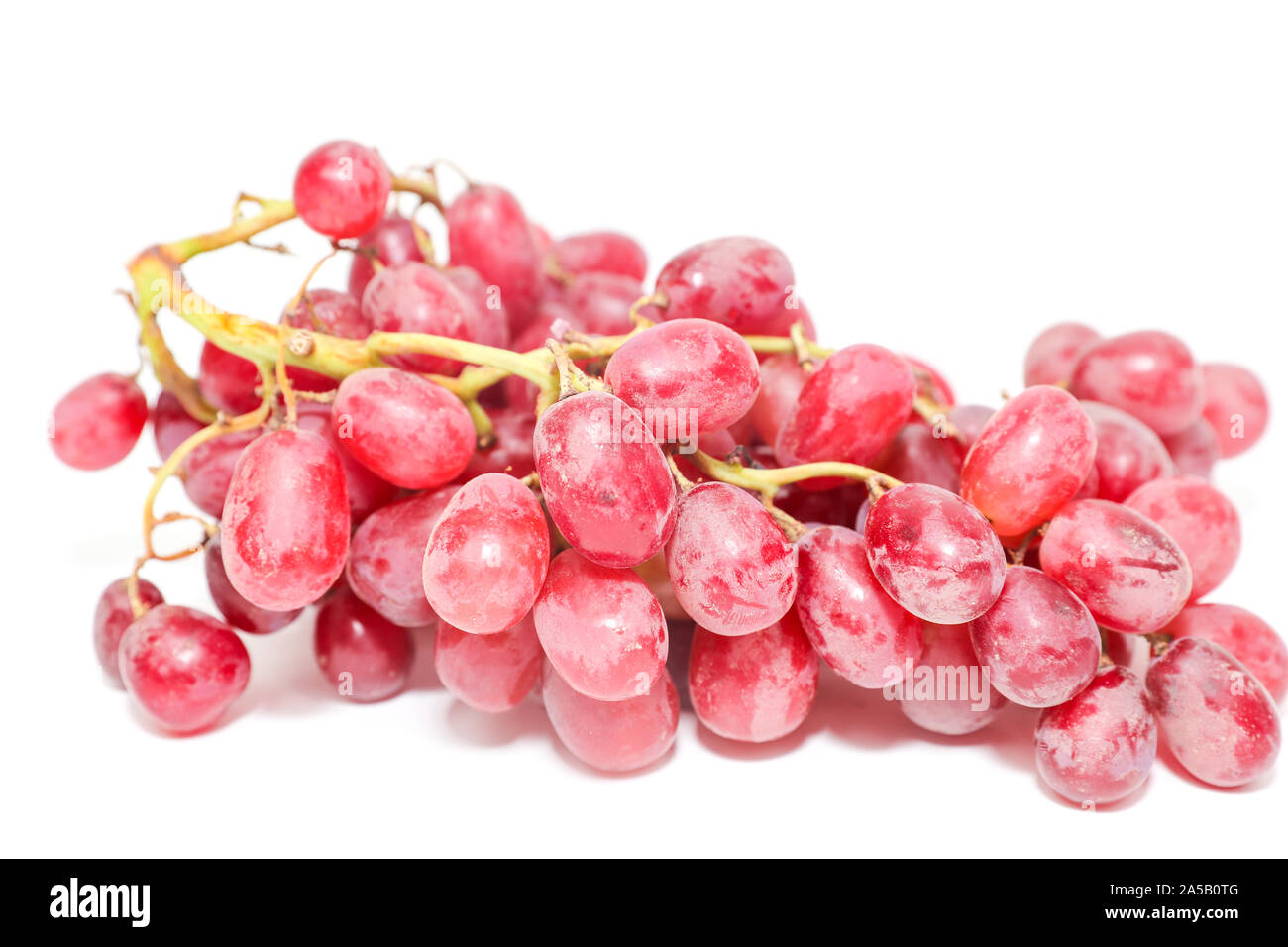 Red grape closeup on the white background- Image Stock Photo - Alamy
