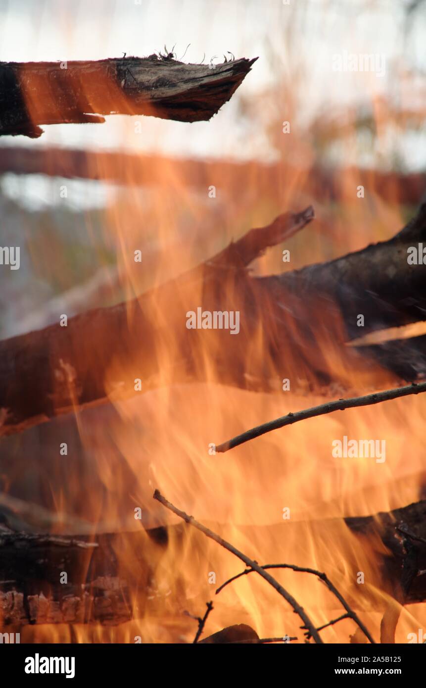 Vertical closeup of black dry wood burning in a campfire. Perfect for a ...