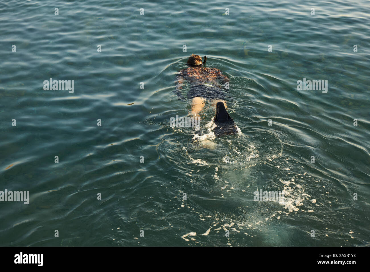 Scuba diver with a spear gun floating on the sea surface Stock Photo ...