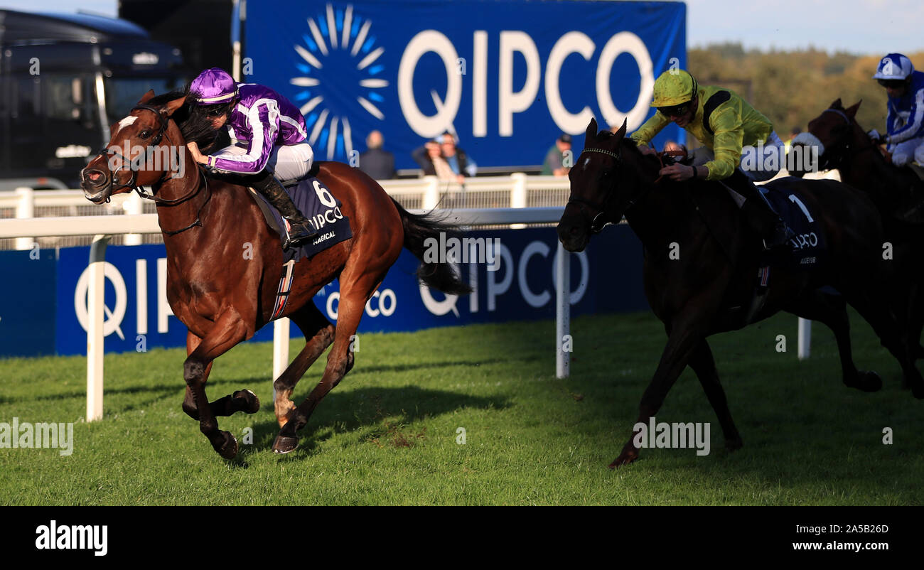 Donnacha o'brien qipco british hi-res stock photography and images - Alamy