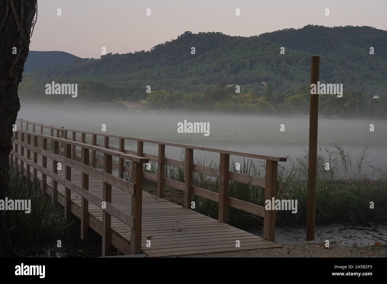 Early morning misty water hi-res stock photography and images - Alamy