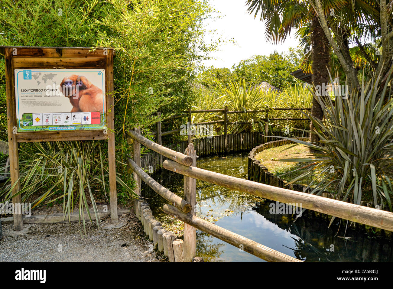 Zoo affengehege hi-res stock photography and images - Alamy