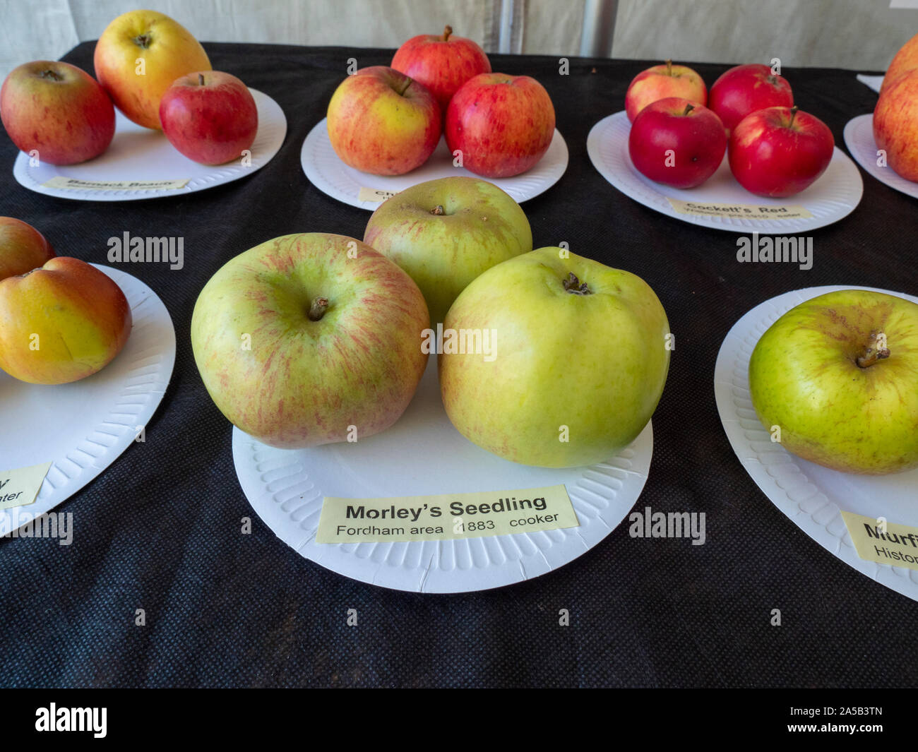 Ely apple fair hi-res stock photography and images - Alamy