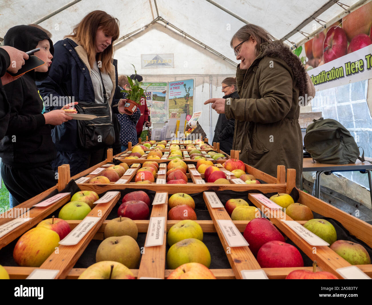 Ely Cambridgeshire UK 19th October 2019. Apple varieties on display at ...