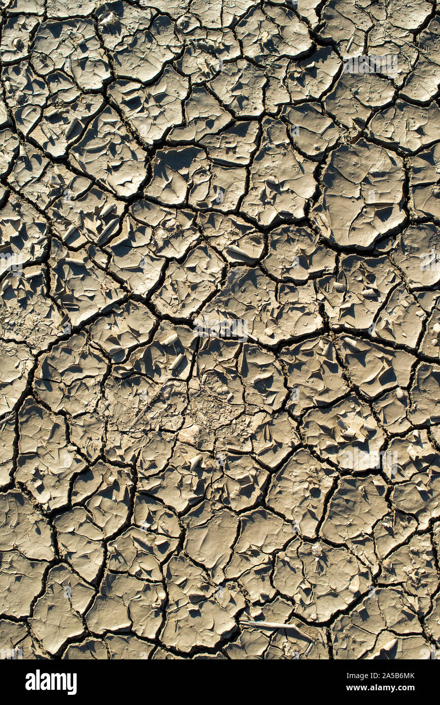 Cracked soil texture. Hard shadows and sun. Dried ground. Pattern of ...