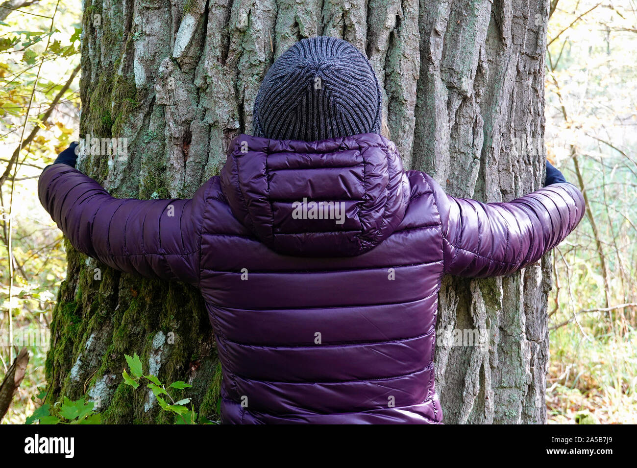 Hugging tree arms hi-res stock photography and images - Alamy