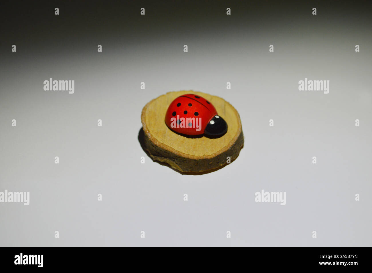 Ladybug wood hi-res stock photography and images - Alamy