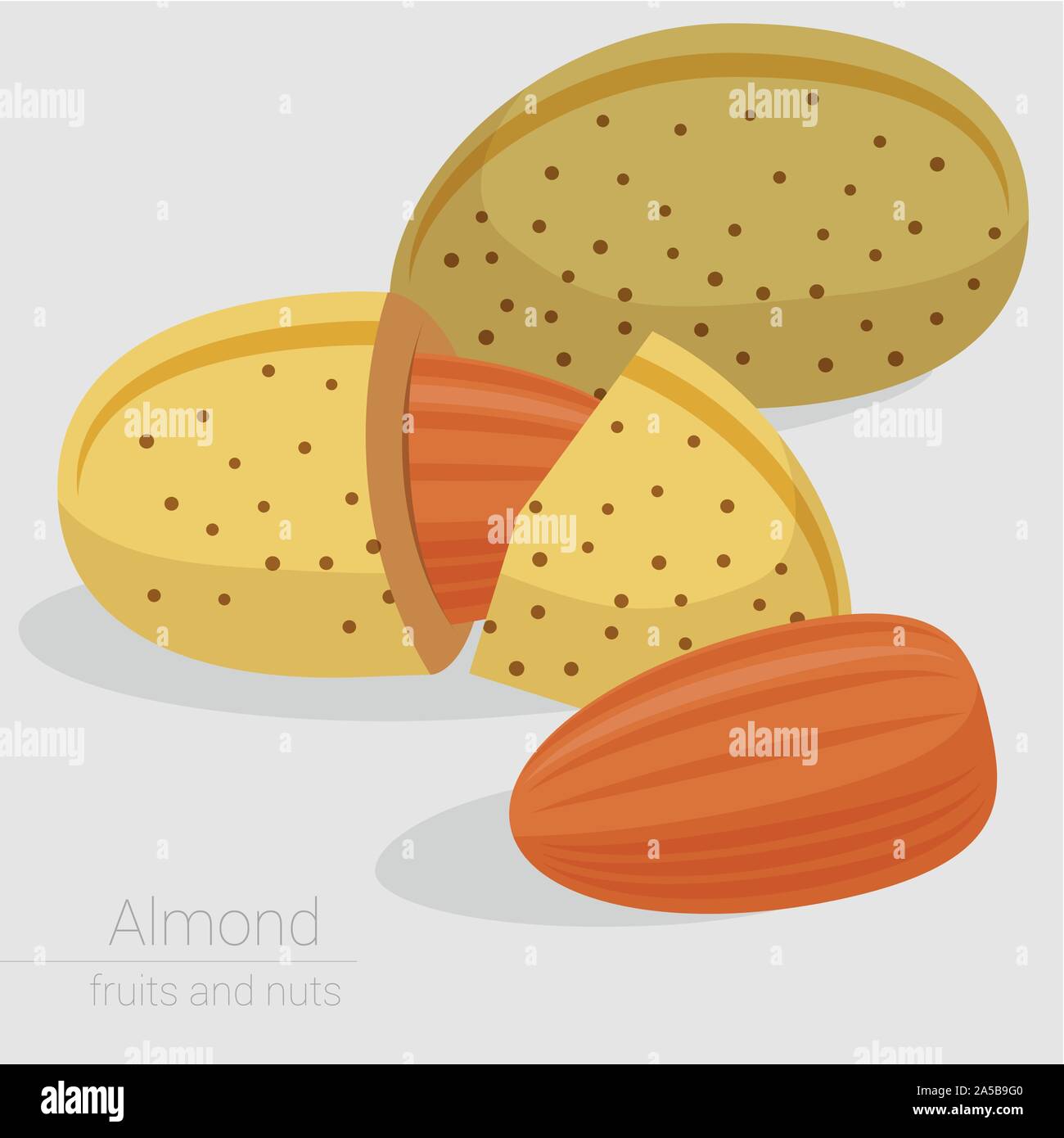 Almond icon Stock Vector Images - Alamy