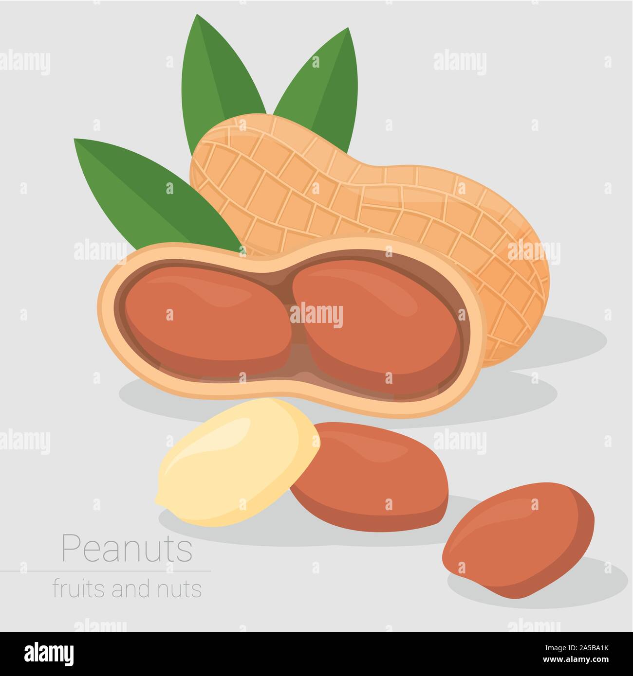 peanut vector icon Stock Vector Image & Art - Alamy