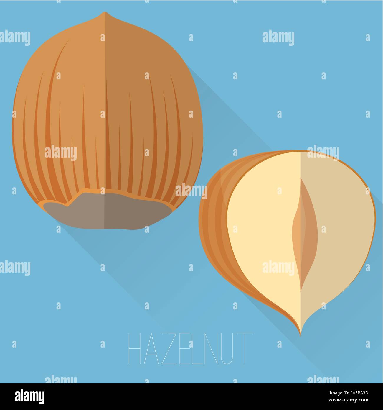 Hazel nut Stock Vector Images - Alamy