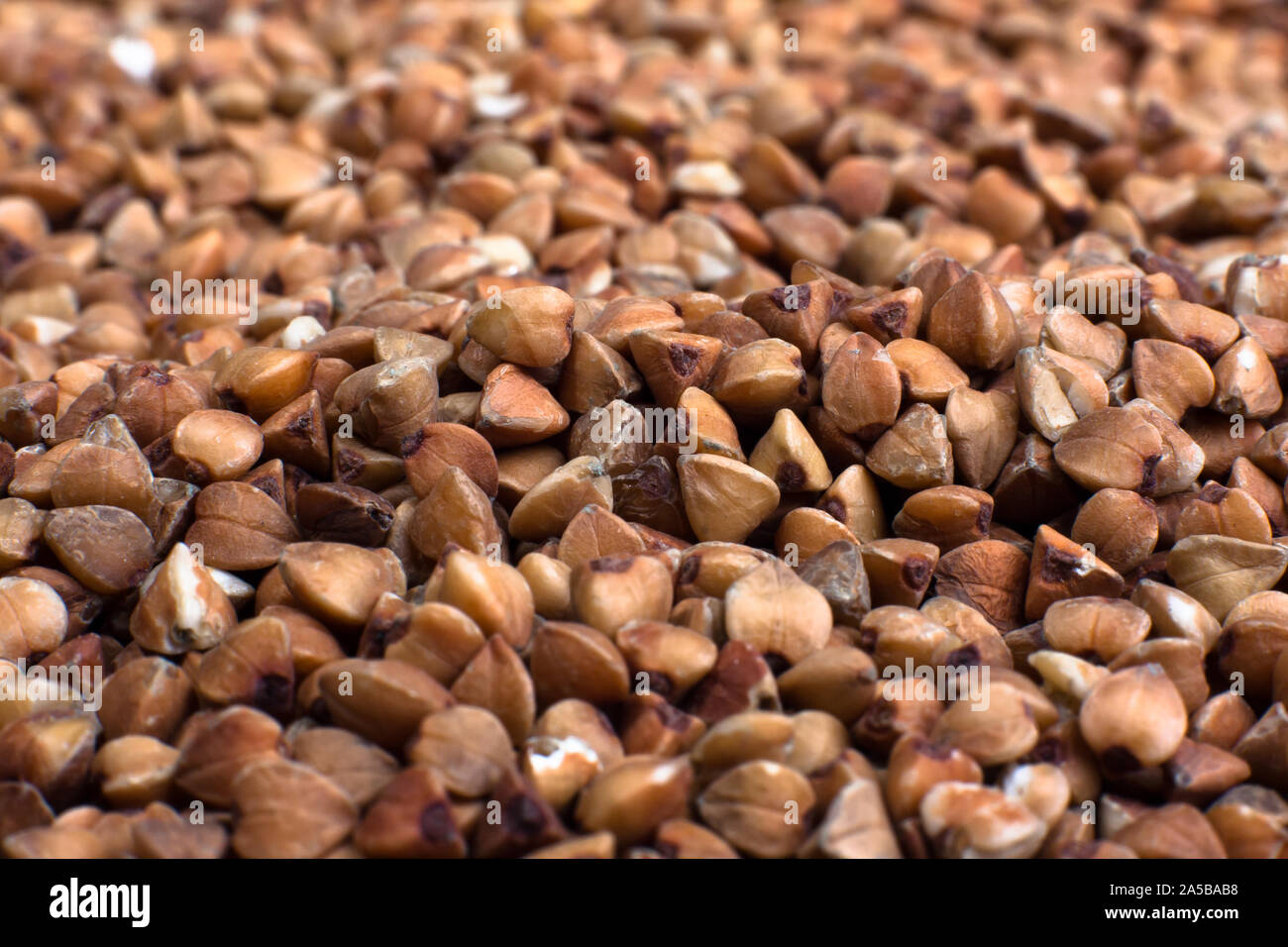 buckwheat texture as background Stock Photo - Alamy