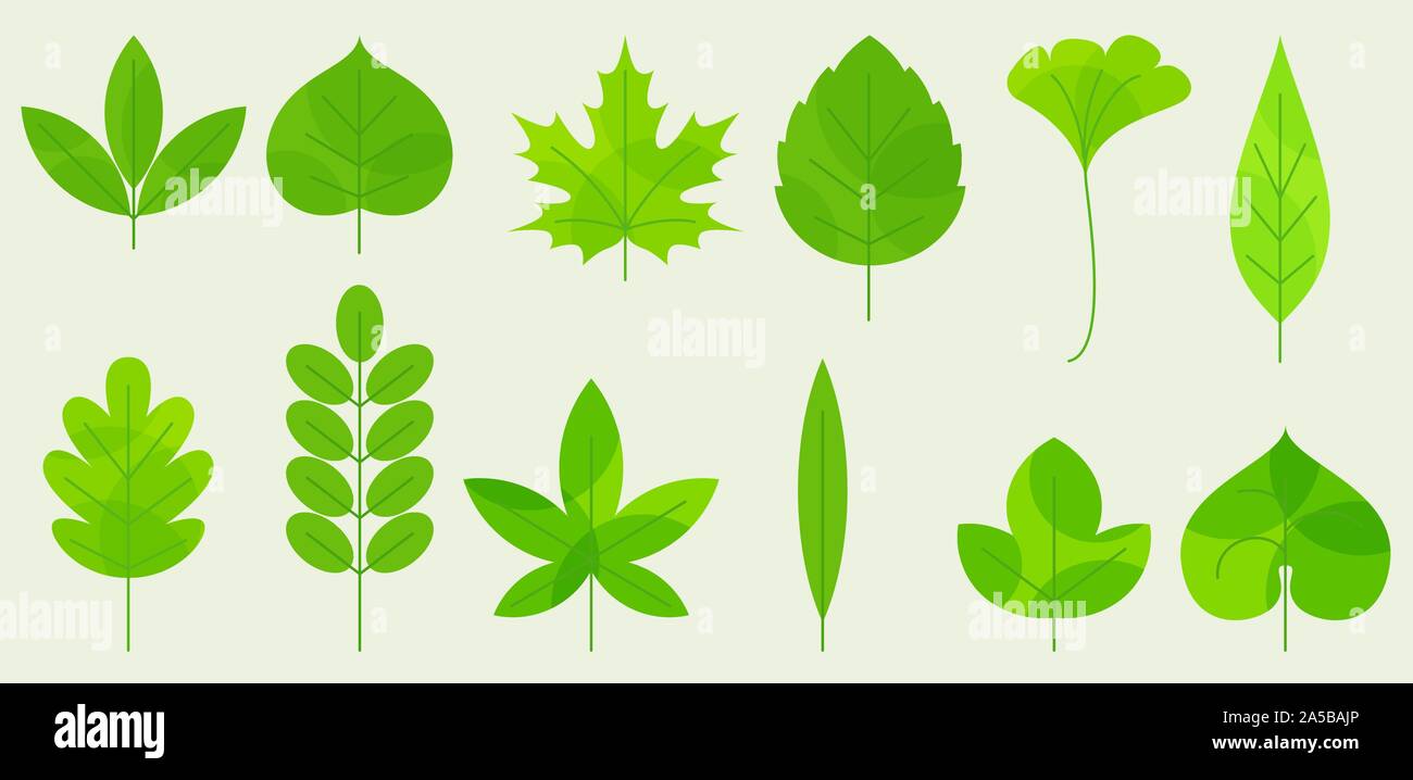 Fresh leaves icons Stock Vector Image & Art - Alamy