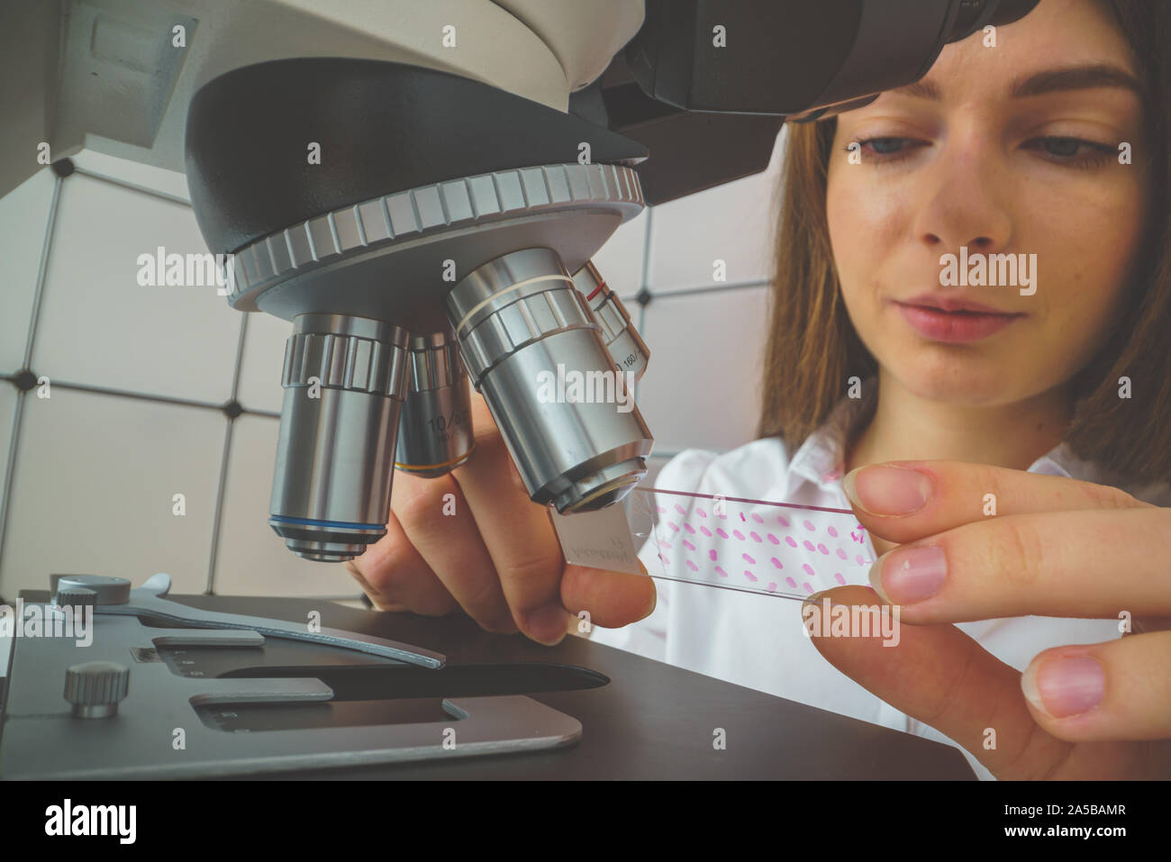 student girl looking in a microscope, science laboratory concept Stock ...