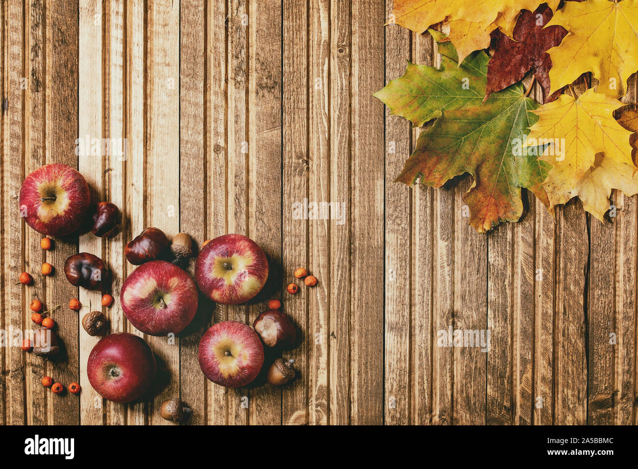 Variety of autumn leaves Stock Photo - Alamy