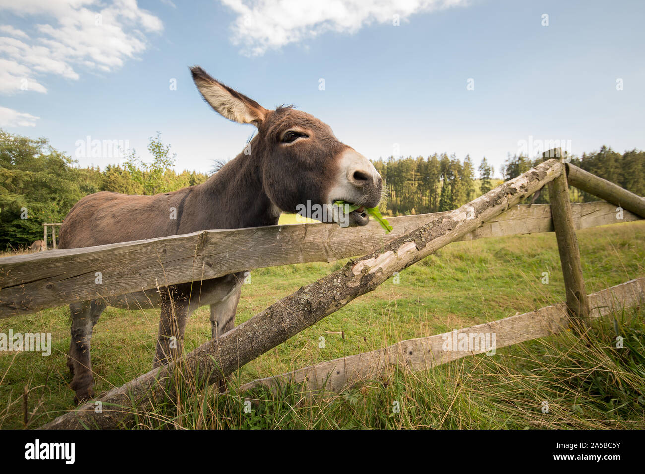 Lateral angle hi-res stock photography and images - Alamy