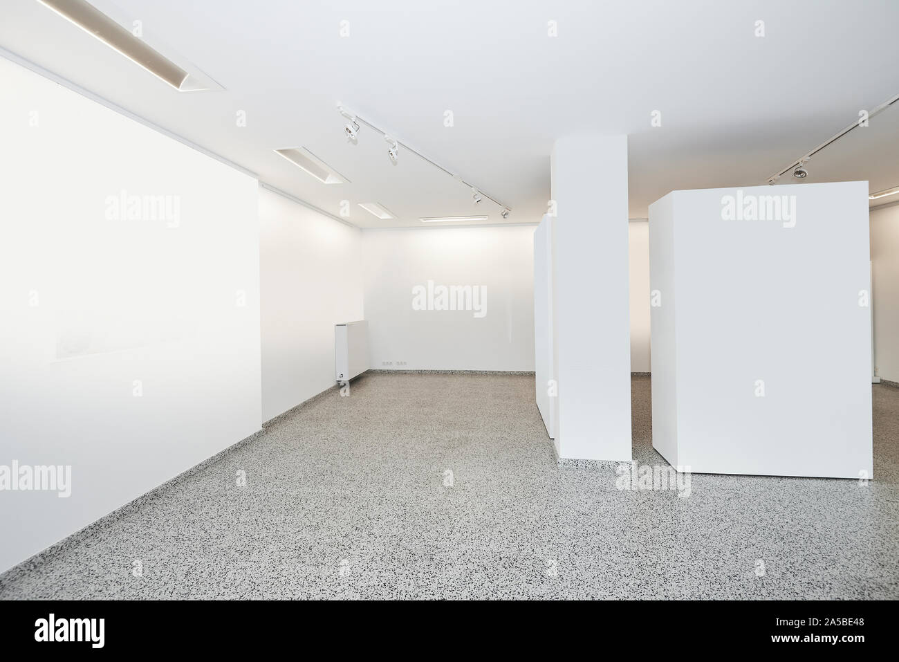 Empty exhibition gallery, wall mounted art with museum style lighting ...