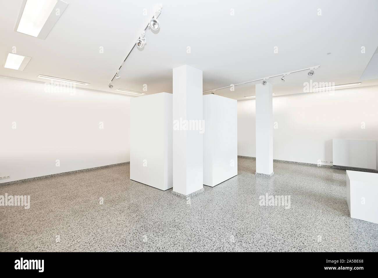 Empty exhibition gallery, wall mounted art with museum style lighting ...