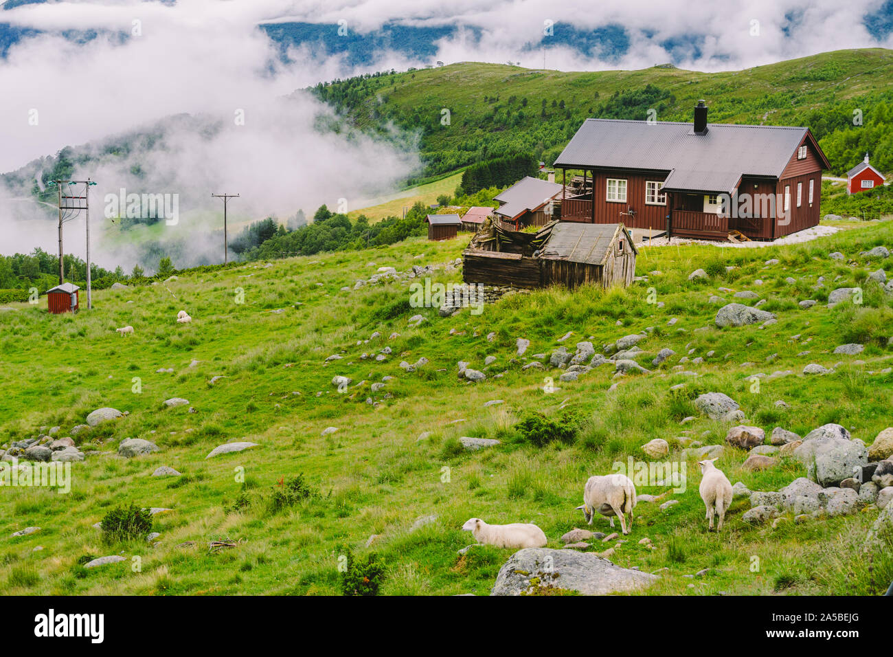 Norwegian landscape with typical scandinavian grass roof houses and the ...