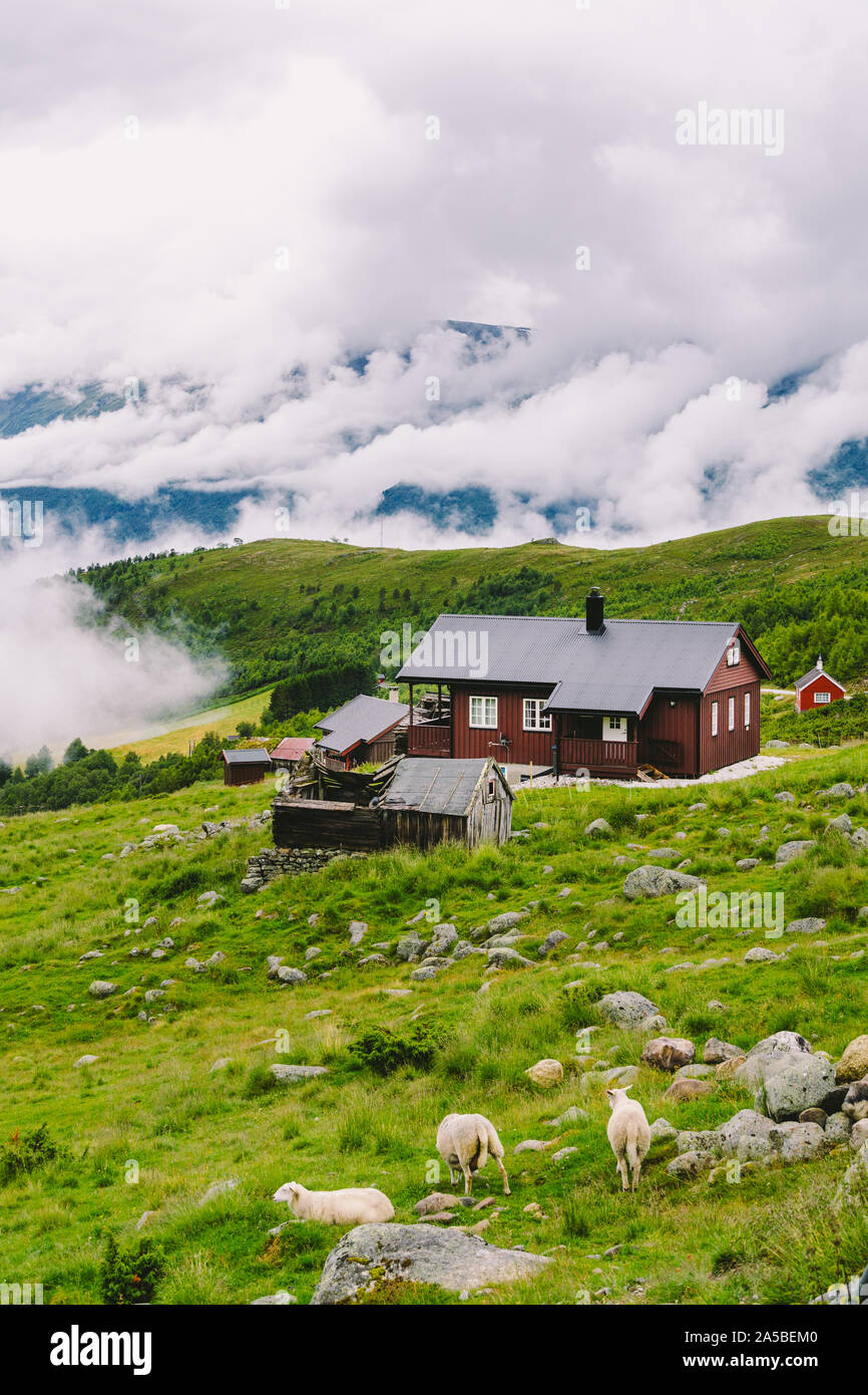 Norwegian landscape with typical scandinavian grass roof houses and the ...